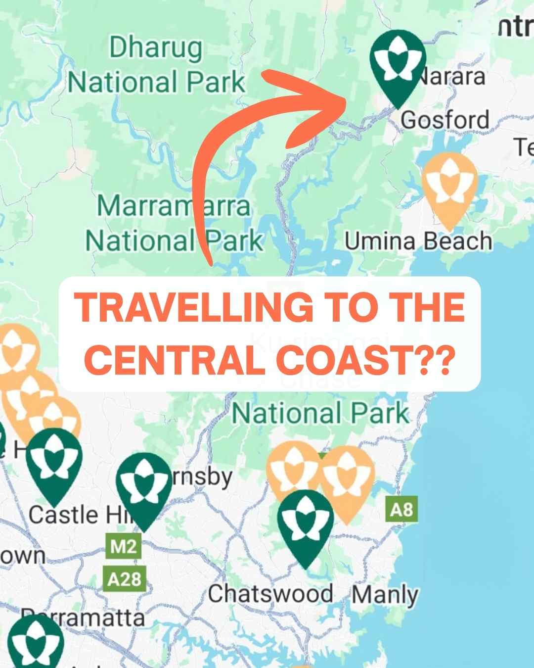 Destination Charging for hospitality venues | ivygo